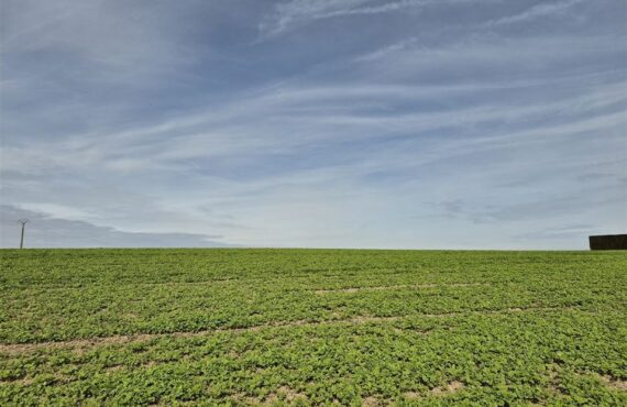 Les Viviers Namur - Yooby